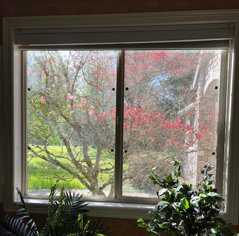 Marigo Audio Lab ZW Window Resonance Damping Discs - Analogue Seduction