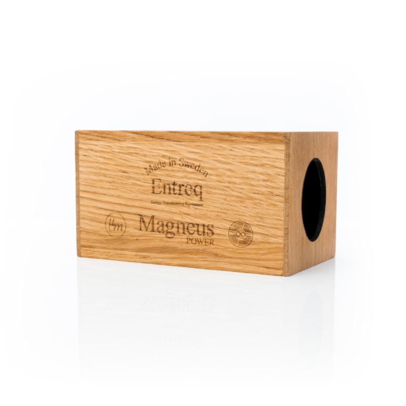 Entreq Magneus Power & Speaker Cable EMF Transformer - Analogue Seduction