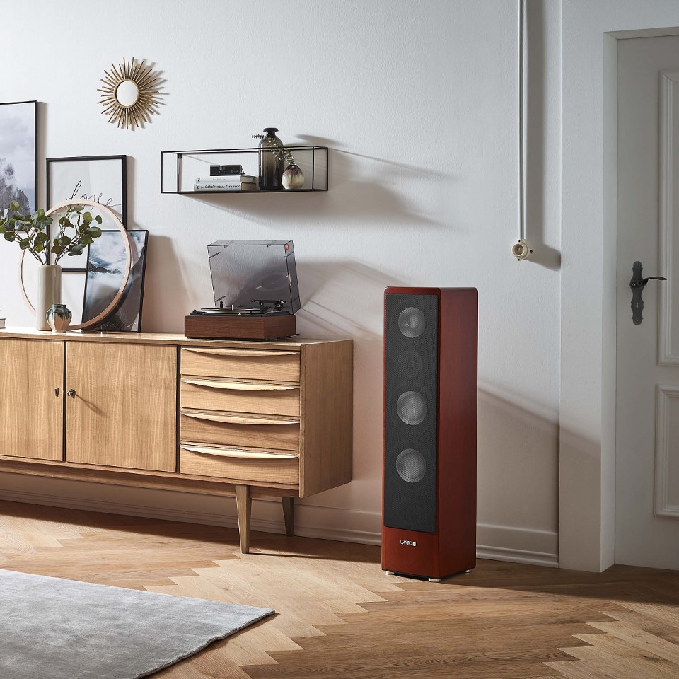 Canton Ergo 690 DC Loudspeakers - Analogue Seduction