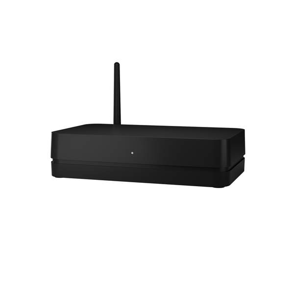 Piega Connect Plus Module for Wireless Gen 2 Loudspeakers - Analogue ...