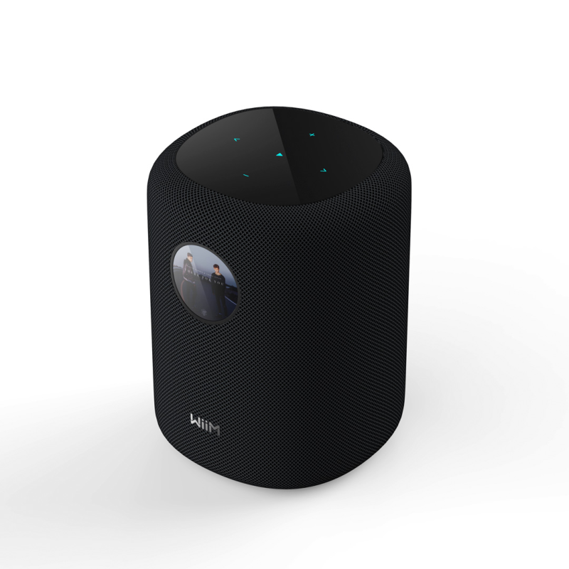 WiiM Sound Audio Streamer Speaker - Analogue Seduction